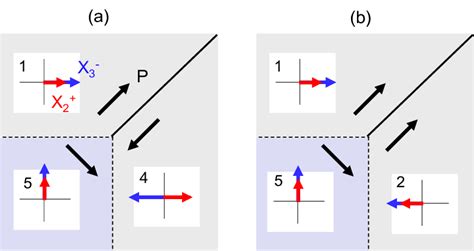 Three Fold Domain Wall Vortices Obtained By Order Parameter Space