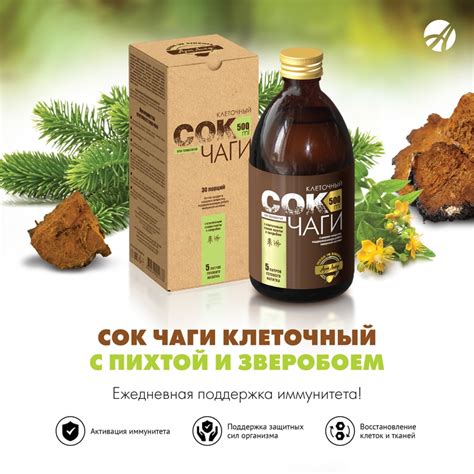 Сок Чаги клеточный с пихтой и зверобоем от Арт Лайф. Крепкий иммунитет ...