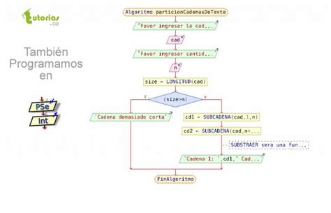 Funciones Pseint Particion Cadena De Texto