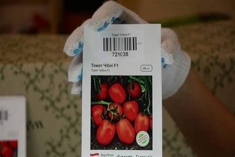 Chibli Tomato Description Of The Hybrid Variety Its Cultivation With Photo