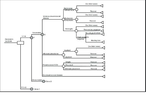 Decision Analytic Model Of Pediatric Pneumococcal Vaccination