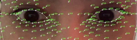 Github Kanikshas4real Time Detection Of 468 Facial Landmarks Using