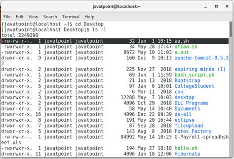 Bash Filesystem And File Permissions Javatpoint