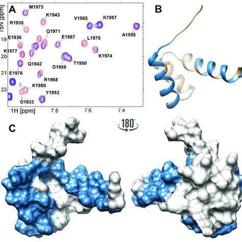 Heteronuclear Nmr Spectra Acquired For Npat Peptide At 298 K Utilizing