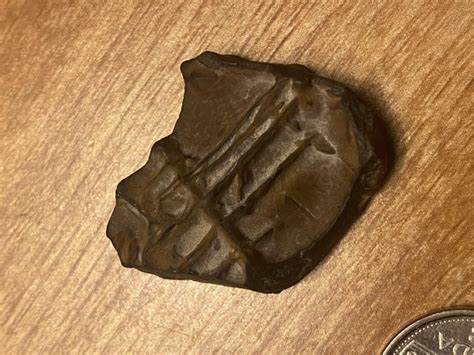 Please Help Identify R Fossils