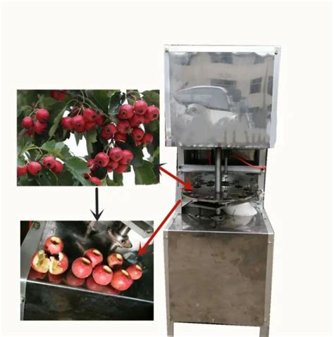 ვაშლის ალუბლის ქლიავის გარგარის გულის ამოსაღები ნახევრადავტომატური ჰიდრავლიკური დანადგარი