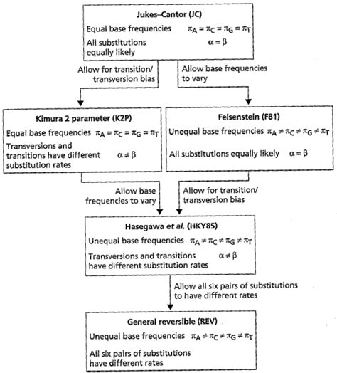 序列差异和dn Ds的计算 知乎