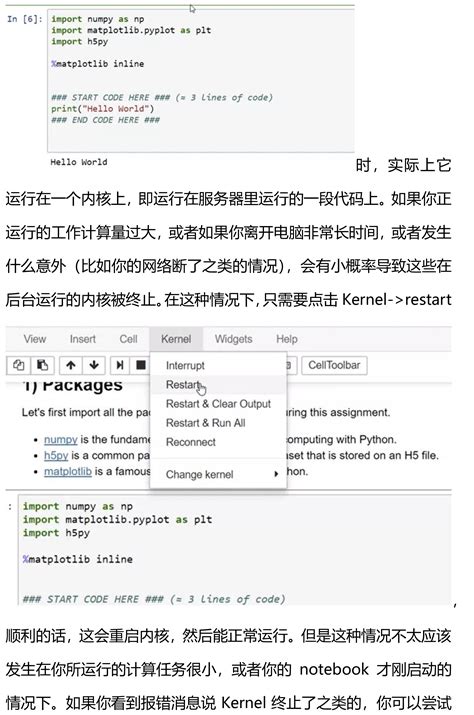 吴恩达老师deeplearning系列课程最详细学习笔记之23—jupyter Ipython笔记本的快速指南coursera
