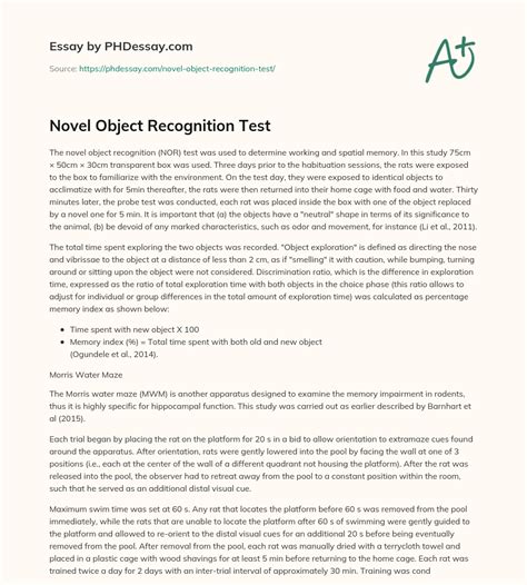Novel Object Recognition Test 600 Words
