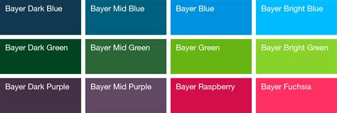 Color Concept Identity Net Portal