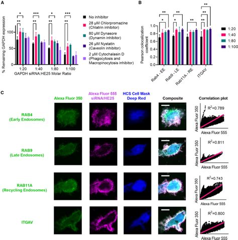 A Novel Multitargeted Self Assembling Peptide Sirna Complex For Simultaneous Inhibition Of Sars