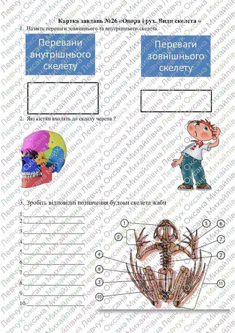 Дидактичні картки з біології 7 клас Інтерактивні матеріали Біологія