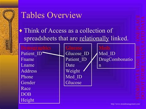 a primer for relational database design and use ppt