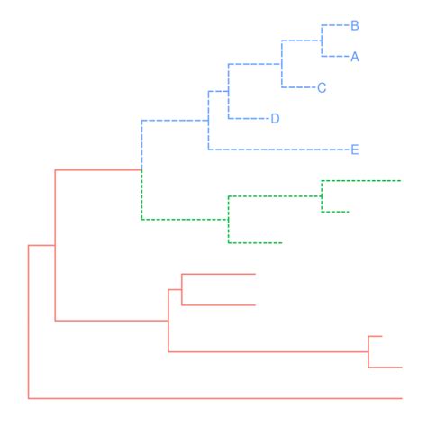 Phylogenetic Trees In R Using Ggtree The Molecular Ecologist