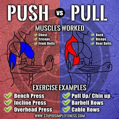 What Is A Push Vs Pull Day At Charles Casale Blog