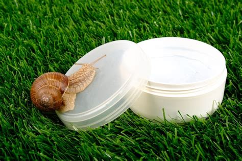 Premium Photo | Snail cosmetics, beauty skin care products.