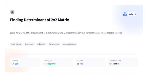 linear algebra determinant of 2x2 matrix c programming labex