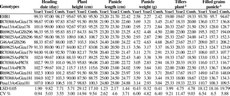Mean Performances Of Morphological Yield And Its Components Of Download Scientific Diagram