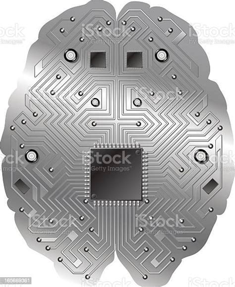 뇌 회로 Cpu Cpu에 대한 스톡 벡터 아트 및 기타 이미지 Cpu 개념과 주제 계산기 Istock
