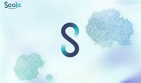 scala biodesign launches with 5 5m to revolutionize protein applications