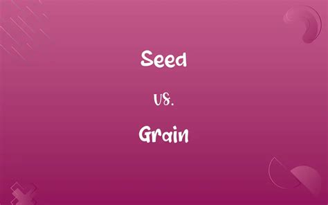 Seed Vs Grain Know The Difference