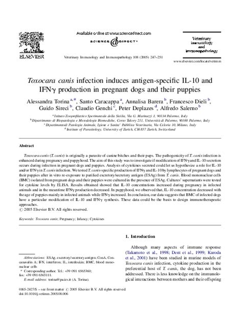 Pdf Toxocara Canis Infection Induces Antigen Specific Il 10 And Ifngamma Production In