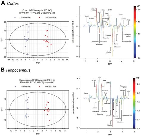 Opls Da Score Plots And Back Scaled Coefficient Plots1 5 Ppm