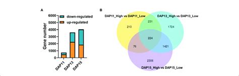 Differentially Expressed Genes Degs Of The Aegilops Tauschii Coss
