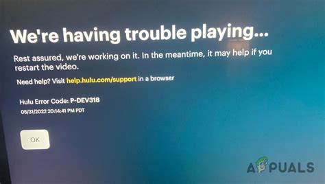 How To Use Hulu Ad Blocker To Get Rid Of Pesky Ads