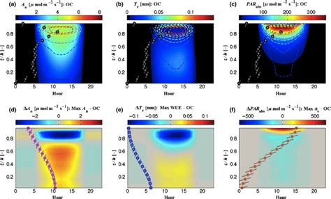 Impact Of Optimal Traits On Canopy Function And Environment Vertically Download Scientific