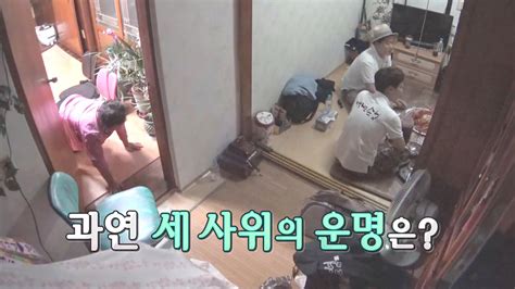 철 없는 후포리 사위들 장모 보물 석류 진액 털어 술상 삼매경 자기야 백년손님 회 YouTube