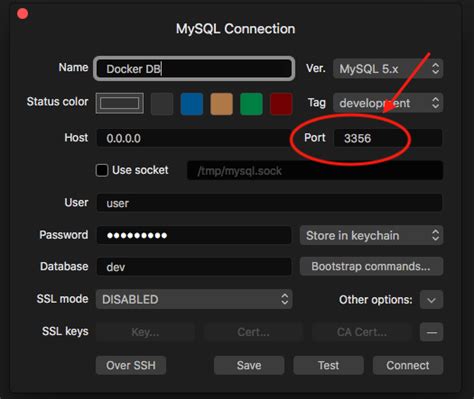 Wordpress Connecting To My Local Docker Database Instance From Table Plus Stack Overflow