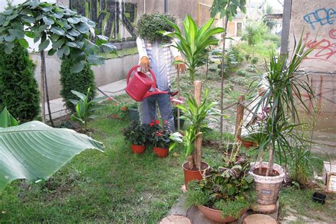 Cvećara Iz Bajke Zapadna Srbija