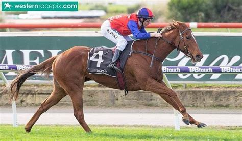 Essential Spice Cracks Well Deserved Win Pearce Racing