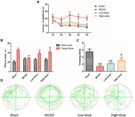 effect of black bamboo rhizome extract on learning and memory abilities