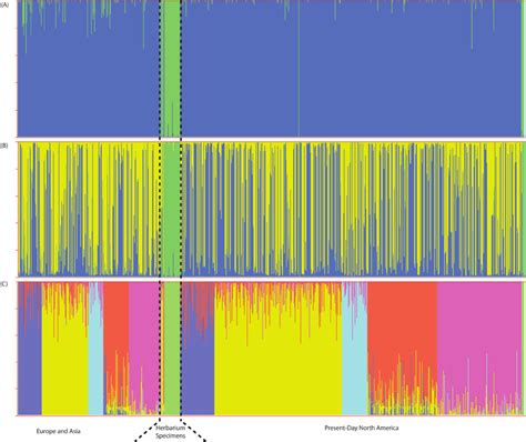 classification plot of population clustering of all populations from