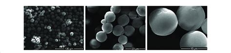 Sem Photos Of Core Shell Microspheres Download Scientific Diagram