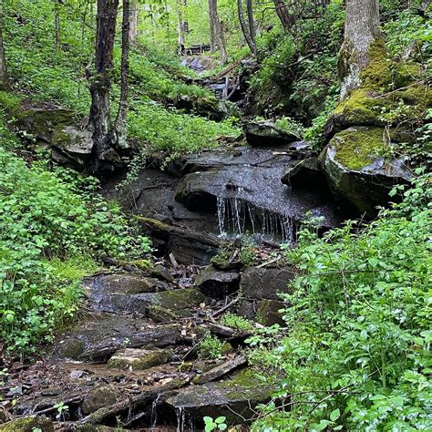 Lovill House Inn Updated 2026 Prices And Bandb Reviews Boone Nc