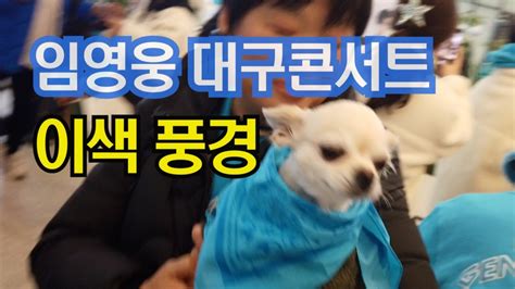 2023임영웅 대구콘서트 이색 풍경 Youtube
