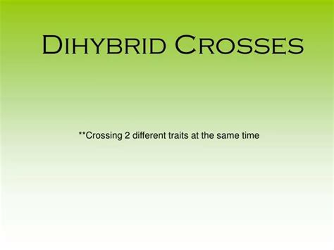 PPT Dihybrid Crosses PowerPoint Presentation Free Download ID 5573650