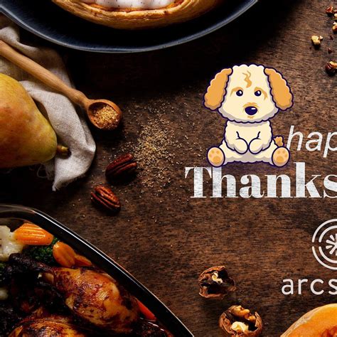 Arcsona Arcsona Inc • Instagram Photos And Videos