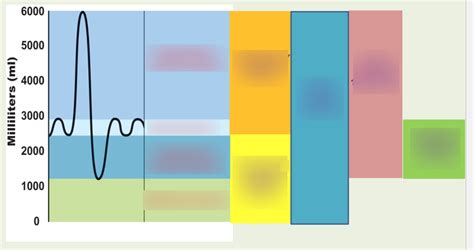 Spirogram Labeling Diagram Quizlet