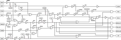 Boolean Equivalent Of Colorectal Cancer Pathway Using Appropriate