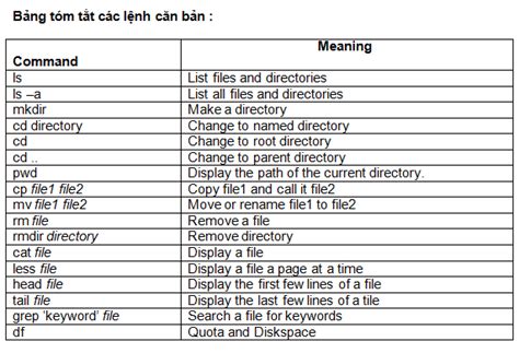 Pageimage Cac Cau Lenh Command Co Ban Tren Server Linux