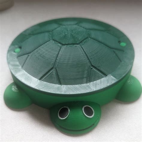 Turtle Sandbox Sensory Etsy