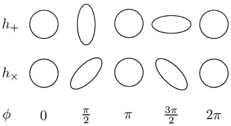 2 The Eect Of The Two Polarizations H And H × Of A Sinusoidal