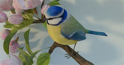 꽃이 만발한 나무 가지에 앉아있는 파란색과 노란색 새 사진 Unsplash의 배경 이미지