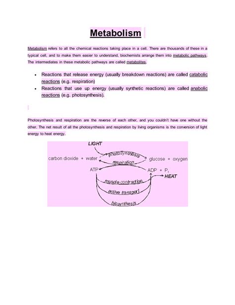 Cape Biology Unit 2 Atprespirationandphotosynthesisversion2