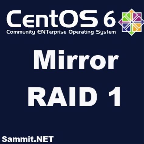 Mirror RAID 1 CentOS 6 4 Sammits World