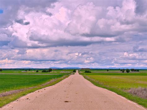 Library Of The Week 13 Polars 🐻‍ ️ By Eric Narro Python In Plain